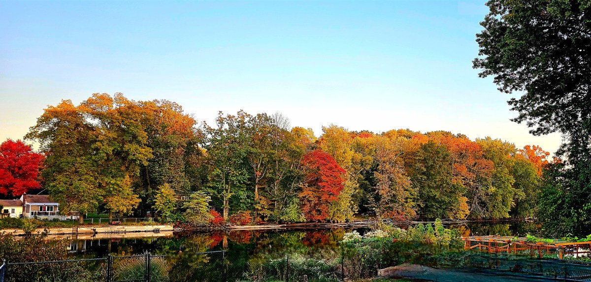 Quienes Somos – Global Consulting Services LLC